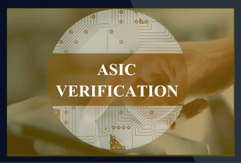Verification – Tenesix Inc